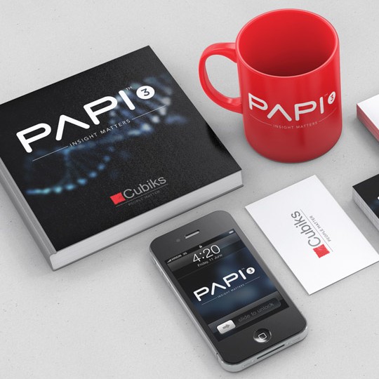PAPI 3 – multi-language, multimedia e-learning for a global audience ...